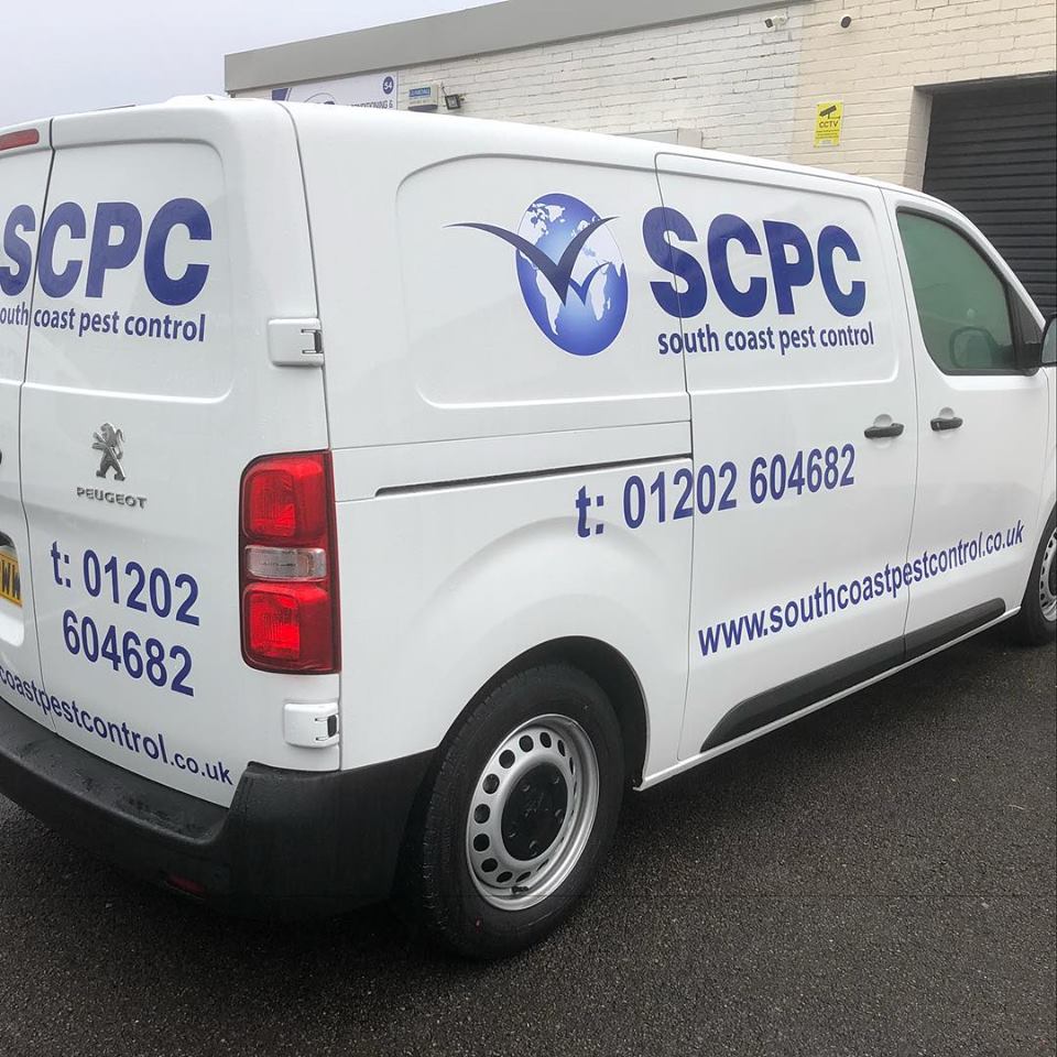 Ready for the rodents! - South Coast Pest Control